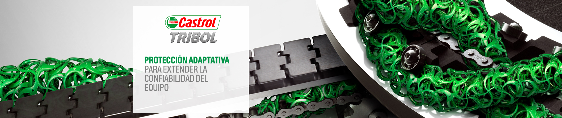 Distribuidor Castrol